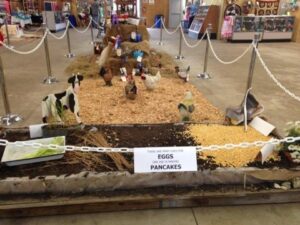 Livestock - Citrus County Fair